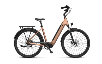 Kronos – VanDijck E-bikes